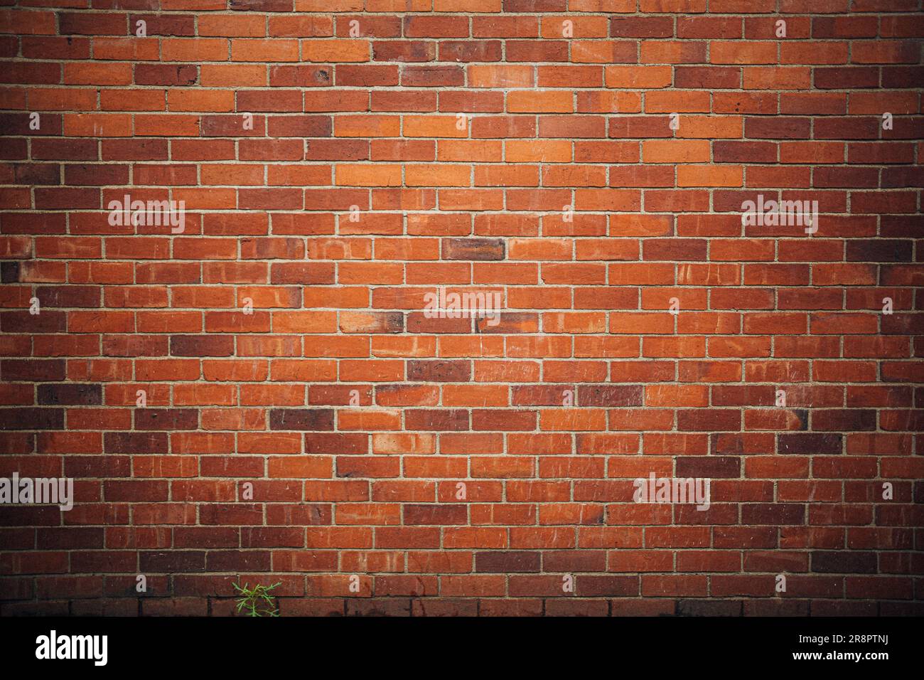 A brick wall background featuring an aged, rustic look with a variety ...
