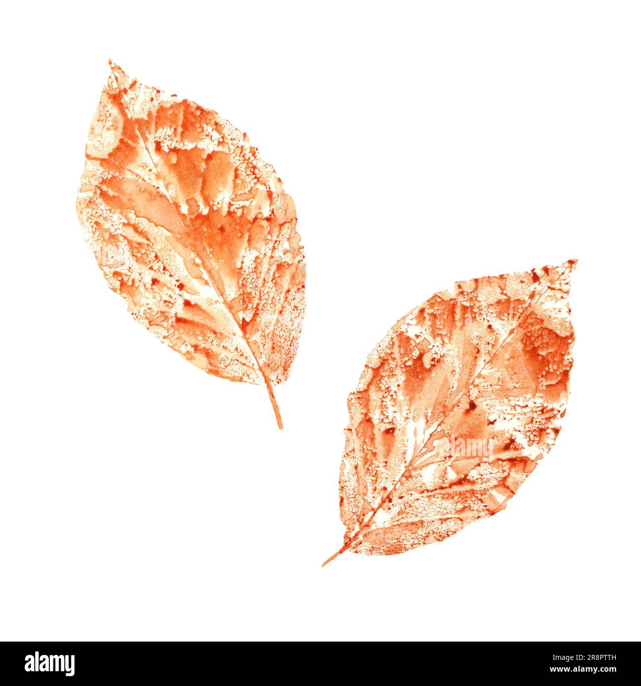 Fall silhouette hi-res stock photography and images - Alamy