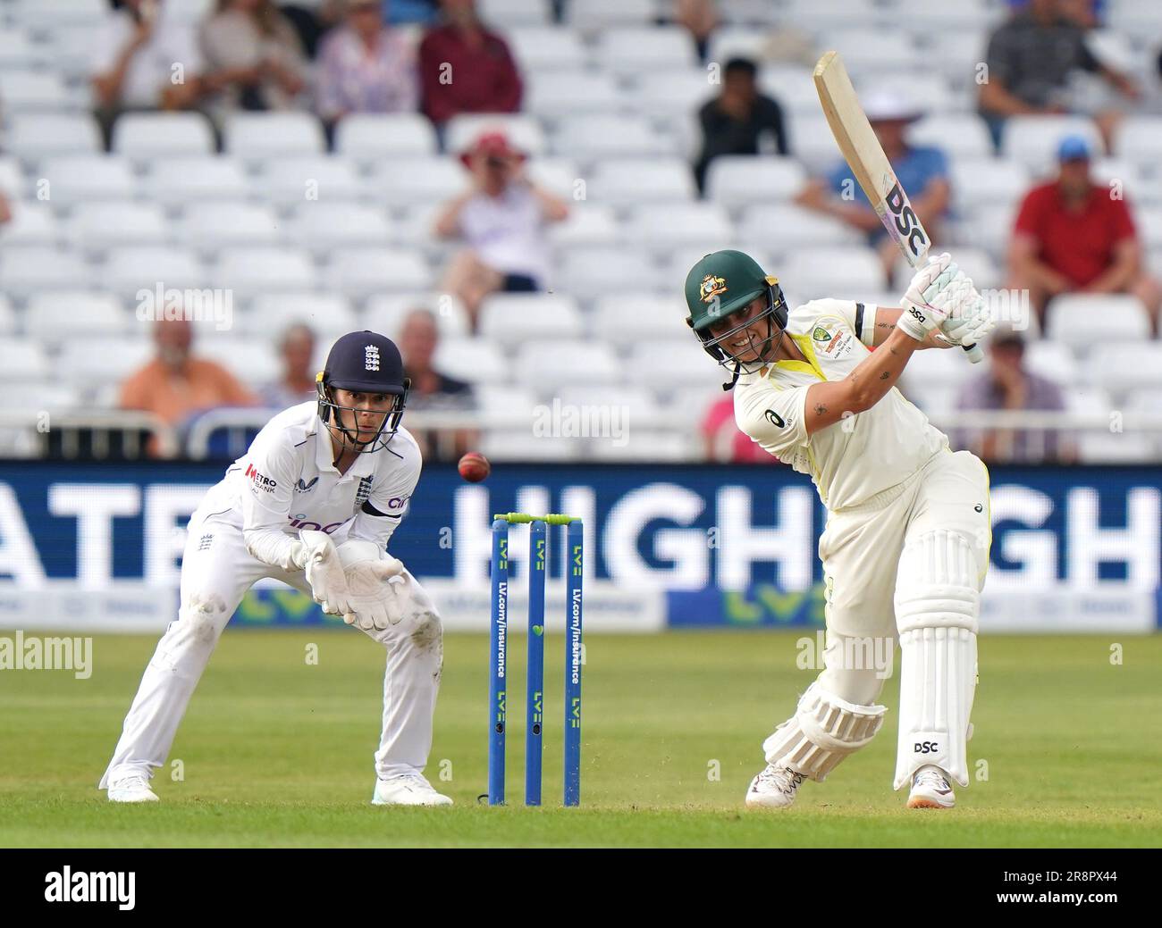 2023 ashes hi-res stock photography and images - Alamy