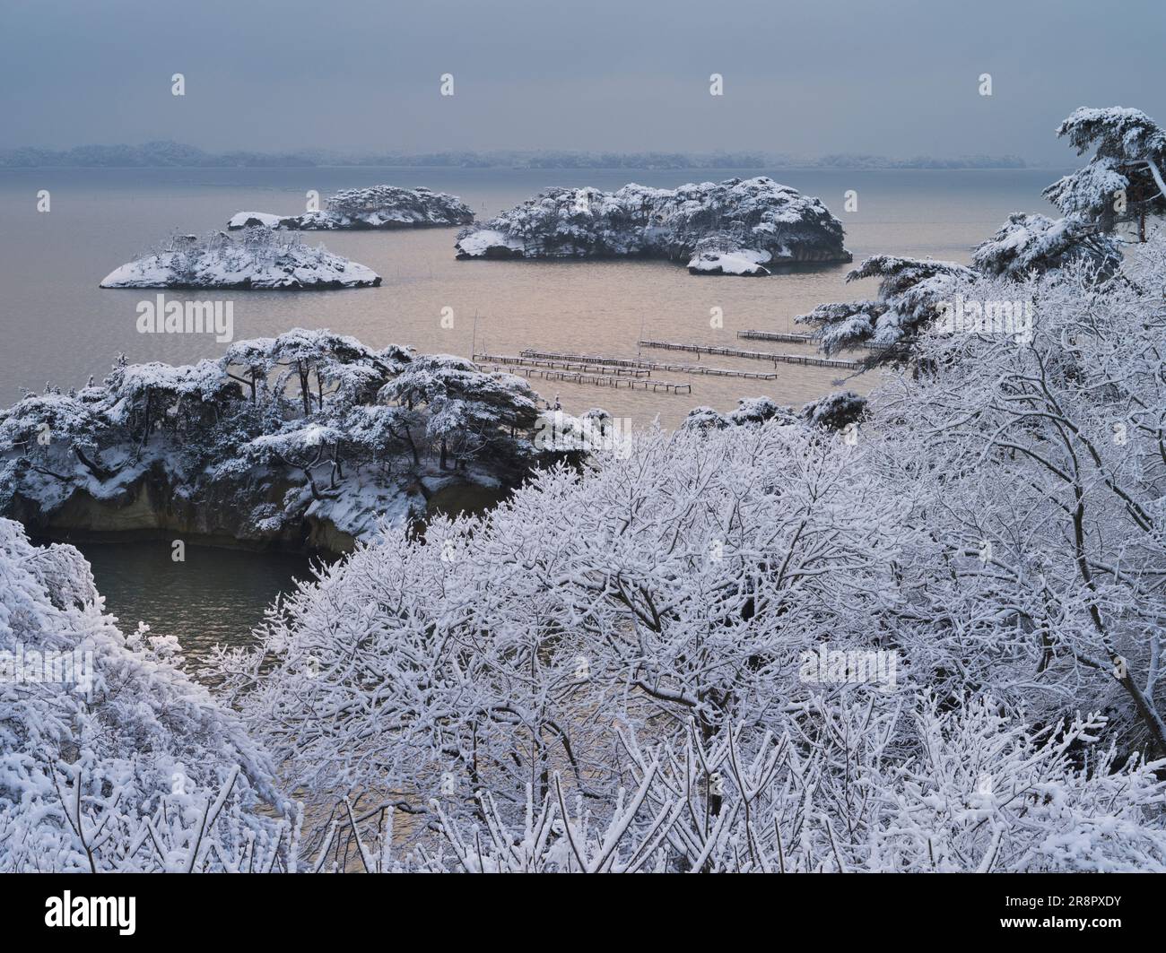 Matsushima in snow Stock Photo - Alamy