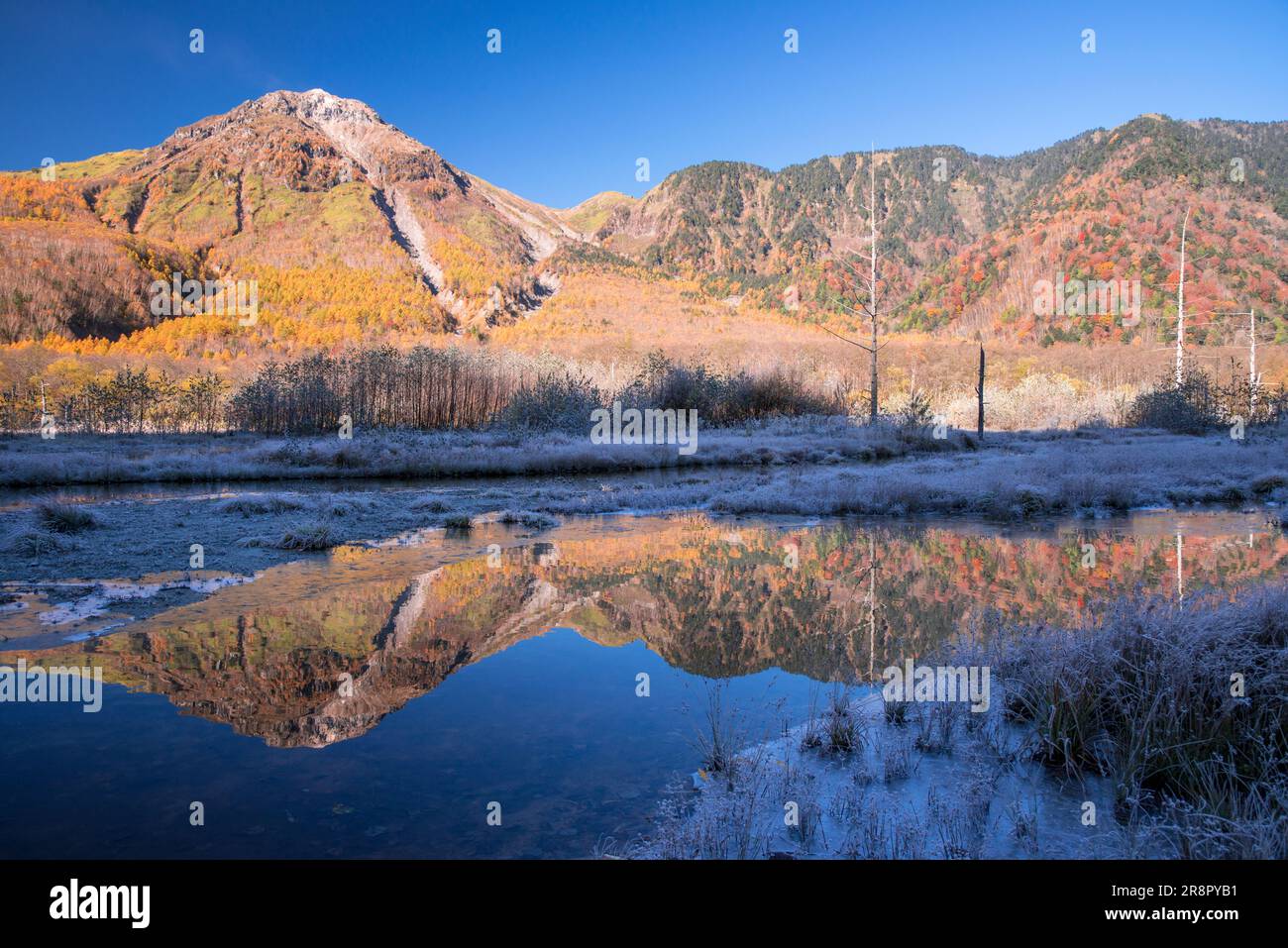 view of Mt Yakedake with morning glow from Kamikochitaishoike pond ...