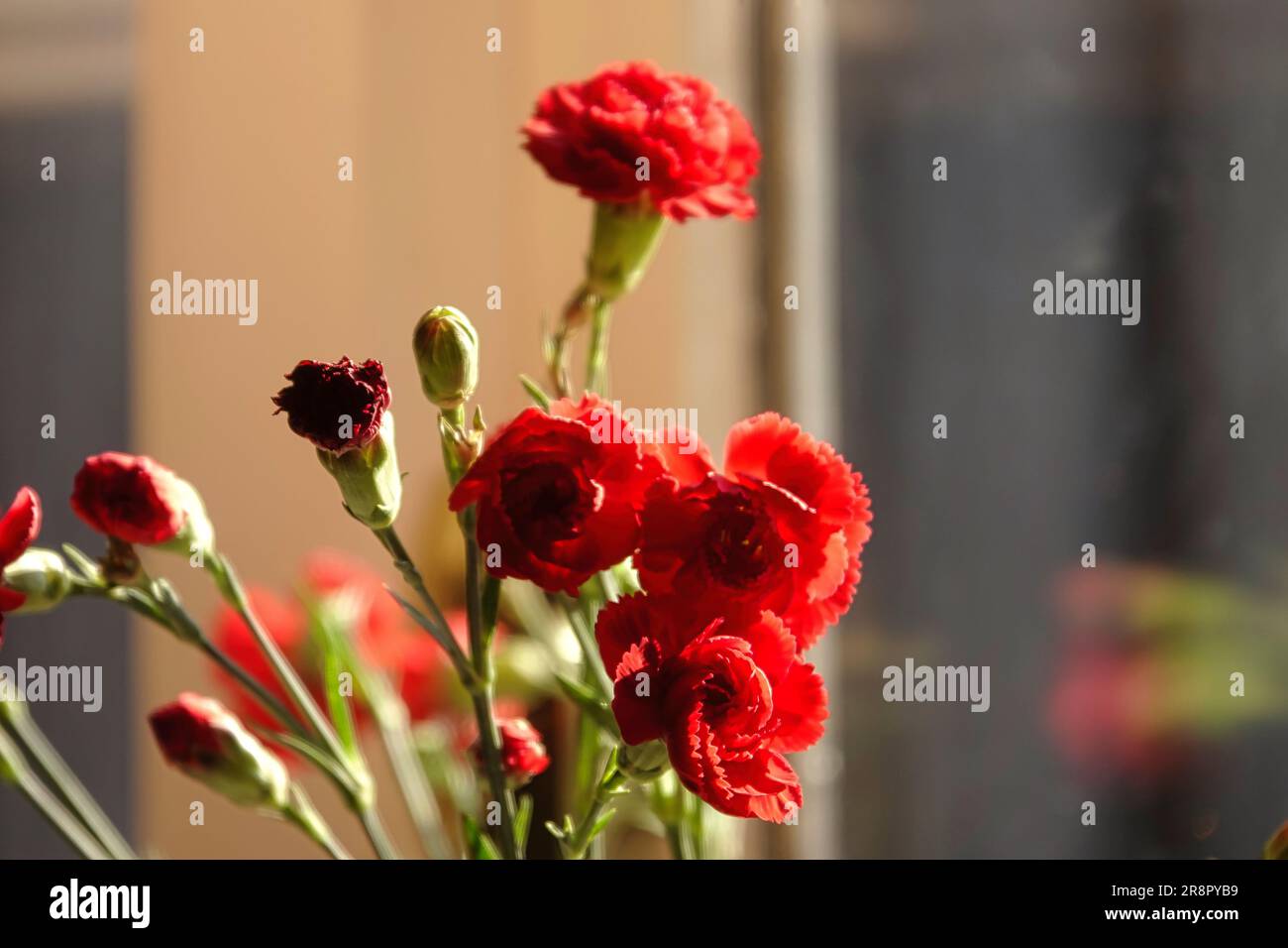 Haphazard flowers hi-res stock photography and images - Alamy