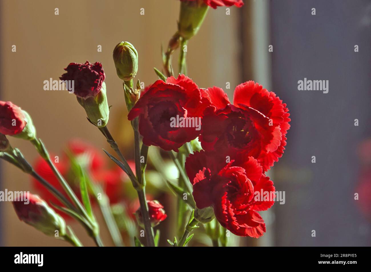 Haphazard flowers hi-res stock photography and images - Alamy