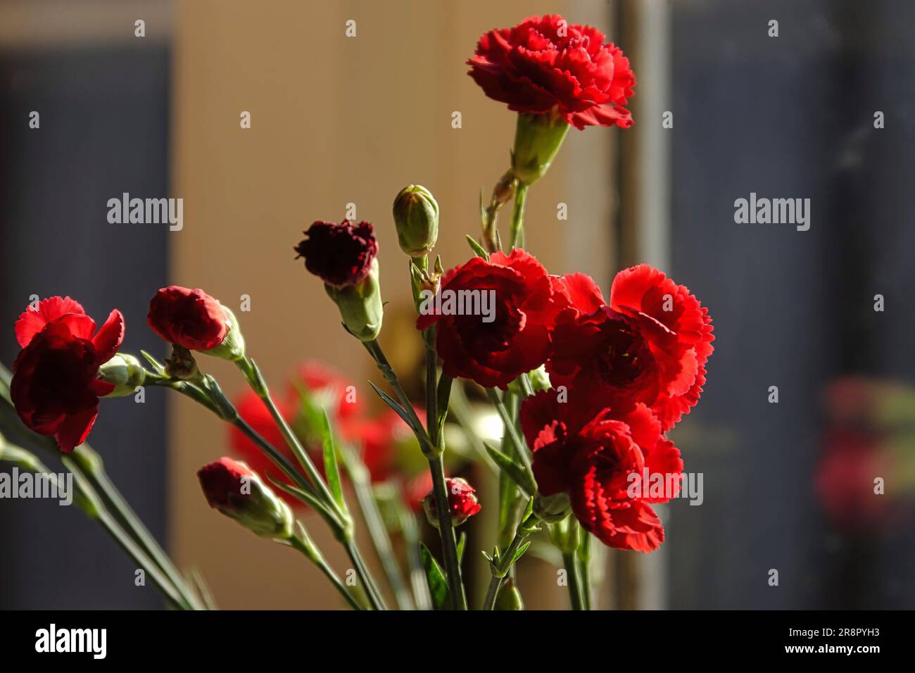 Haphazard display hi-res stock photography and images - Alamy