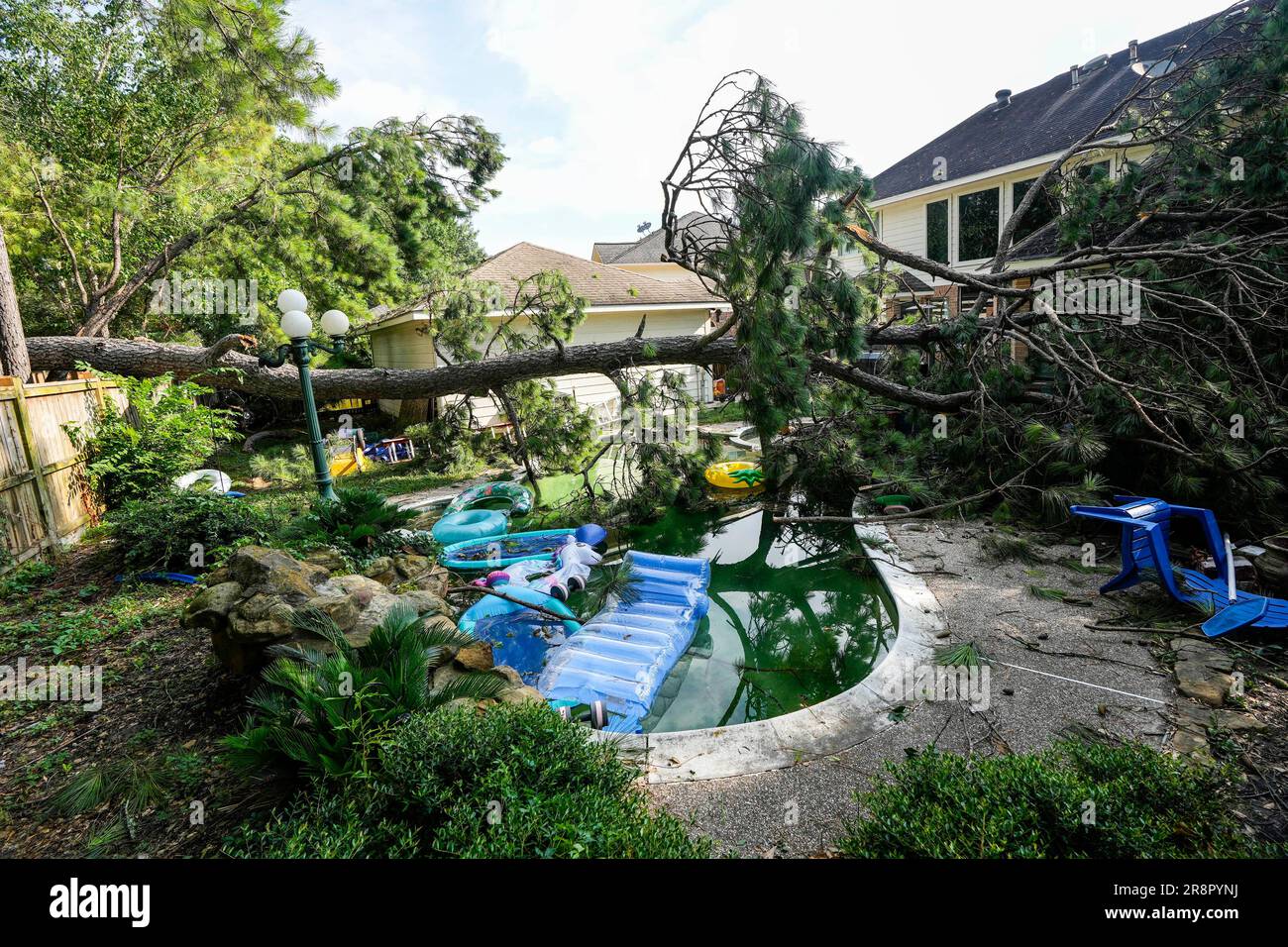 A toppled tree sits in the backyard of Grace Hatfield's home, Thursday ...