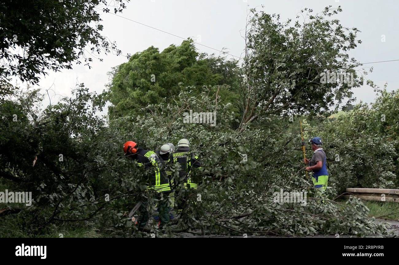 Mettlach, Germany. 22nd June, 2023. Firefighters try to remove a tree ...