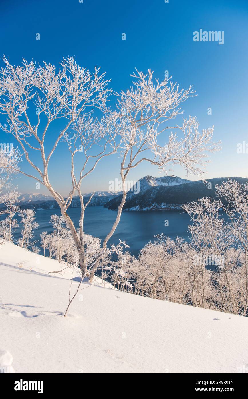 Lakeside grove hi-res stock photography and images - Alamy