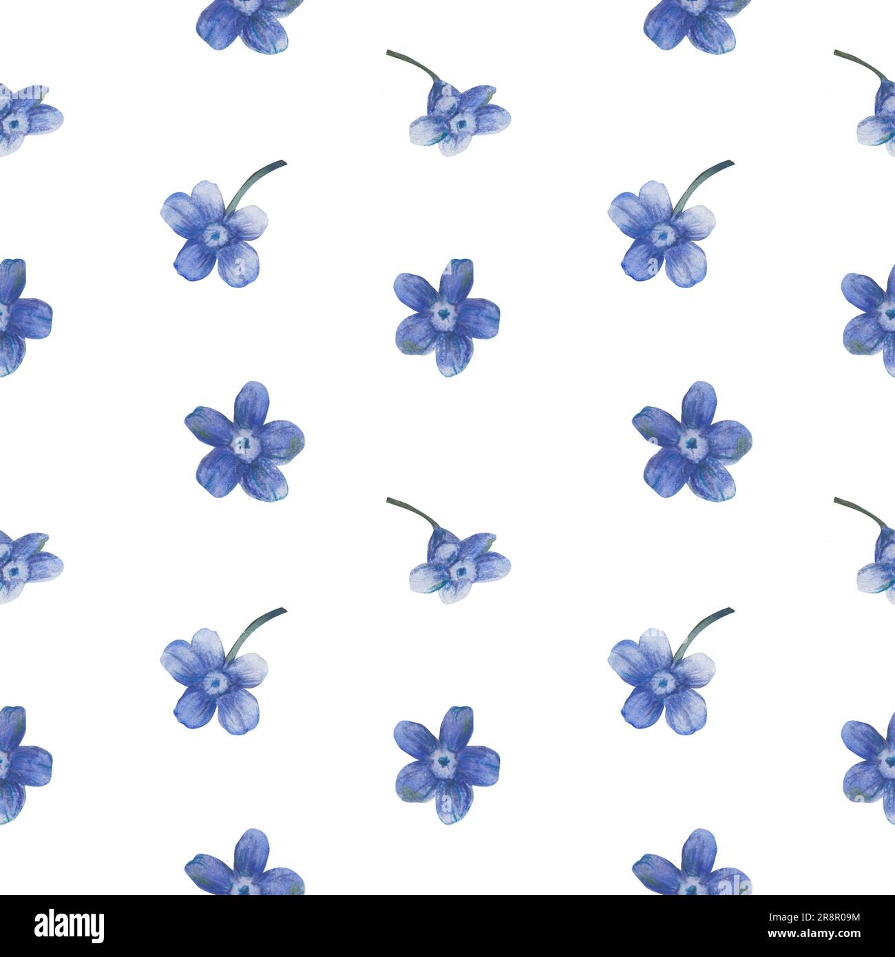 Seamless floral pattern of beautiful little blue forget-me-not flowers ...