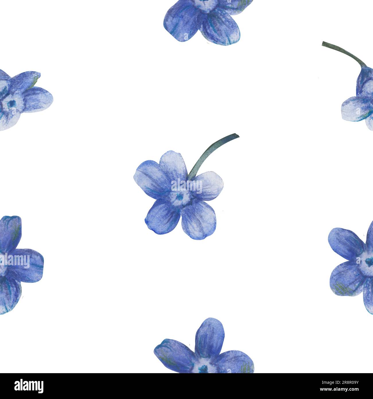 Seamless floral pattern of beautiful little blue forget-me-not flowers ...
