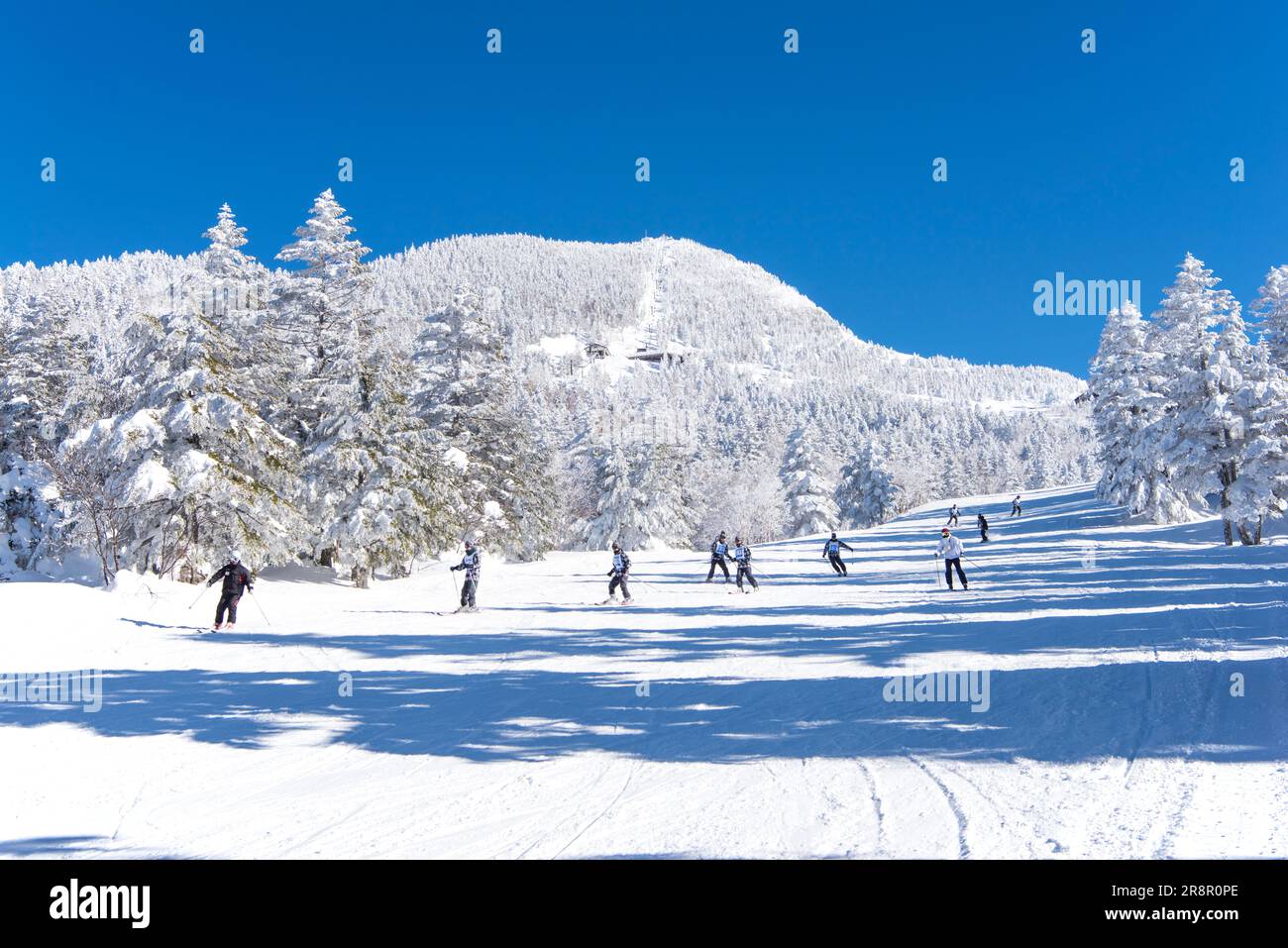 Shigakogen ski area hi-res stock photography and images - Alamy