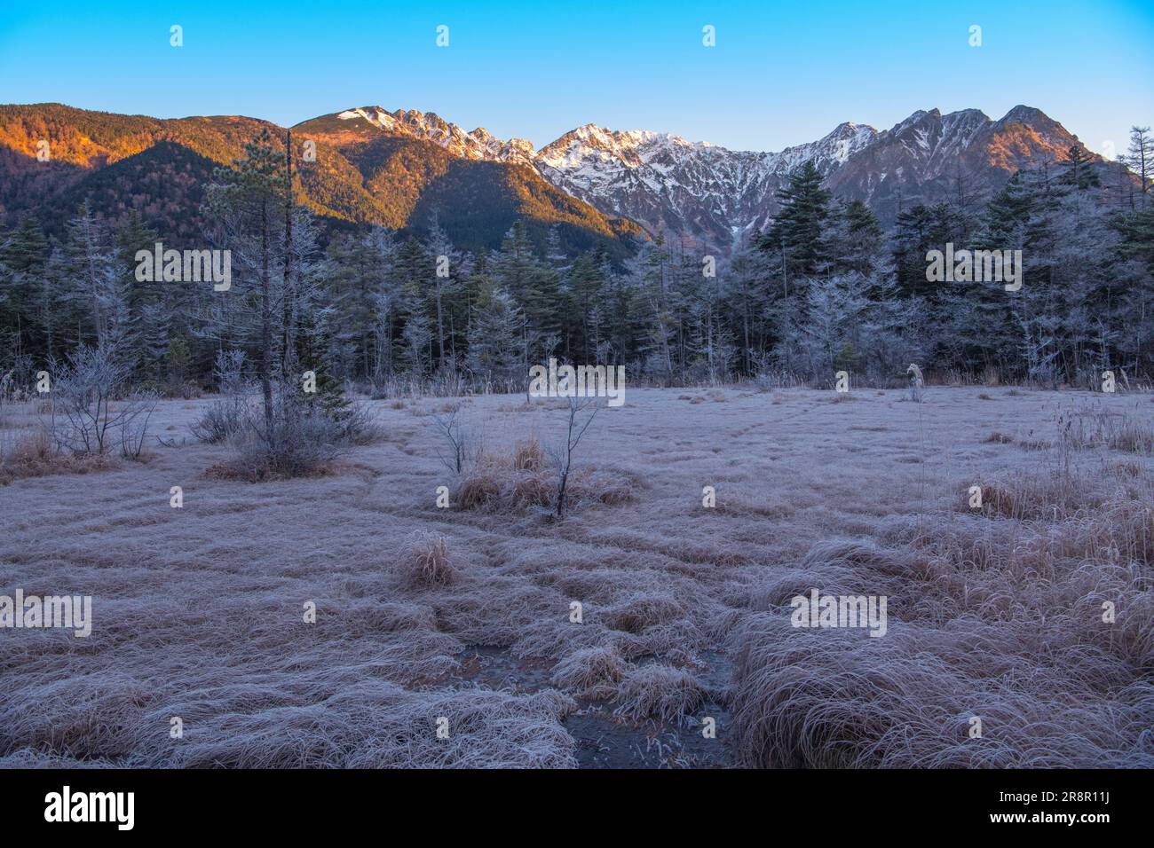 Tashiro wetlands hi-res stock photography and images - Alamy