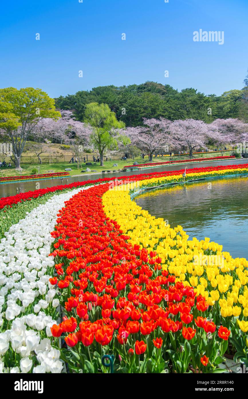 Hamamatsu flower park hi-res stock photography and images - Alamy