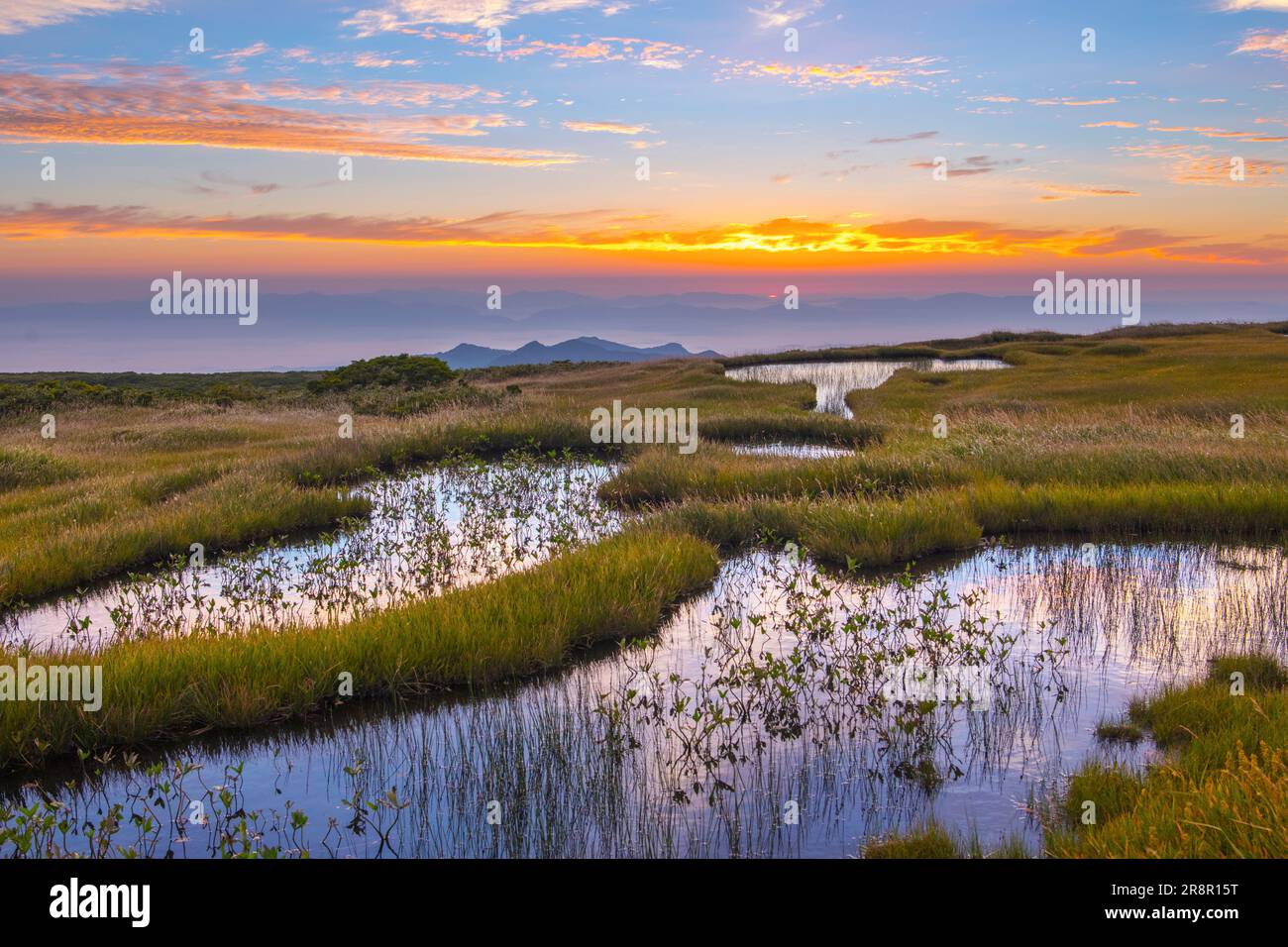 Mt. Gassan Midagahara marshland in the morning Stock Photo - Alamy