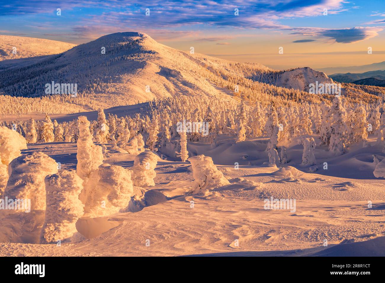 Juhyo in Miyagi Zao Stock Photo - Alamy