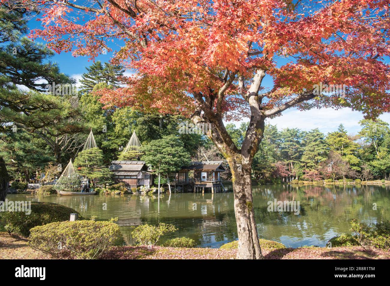 Kenrokuen garden japan autumn hi-res stock photography and images - Alamy