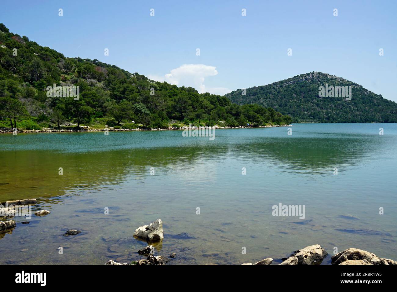 coastal labdscape in dalmatia in croatia Stock Photo - Alamy