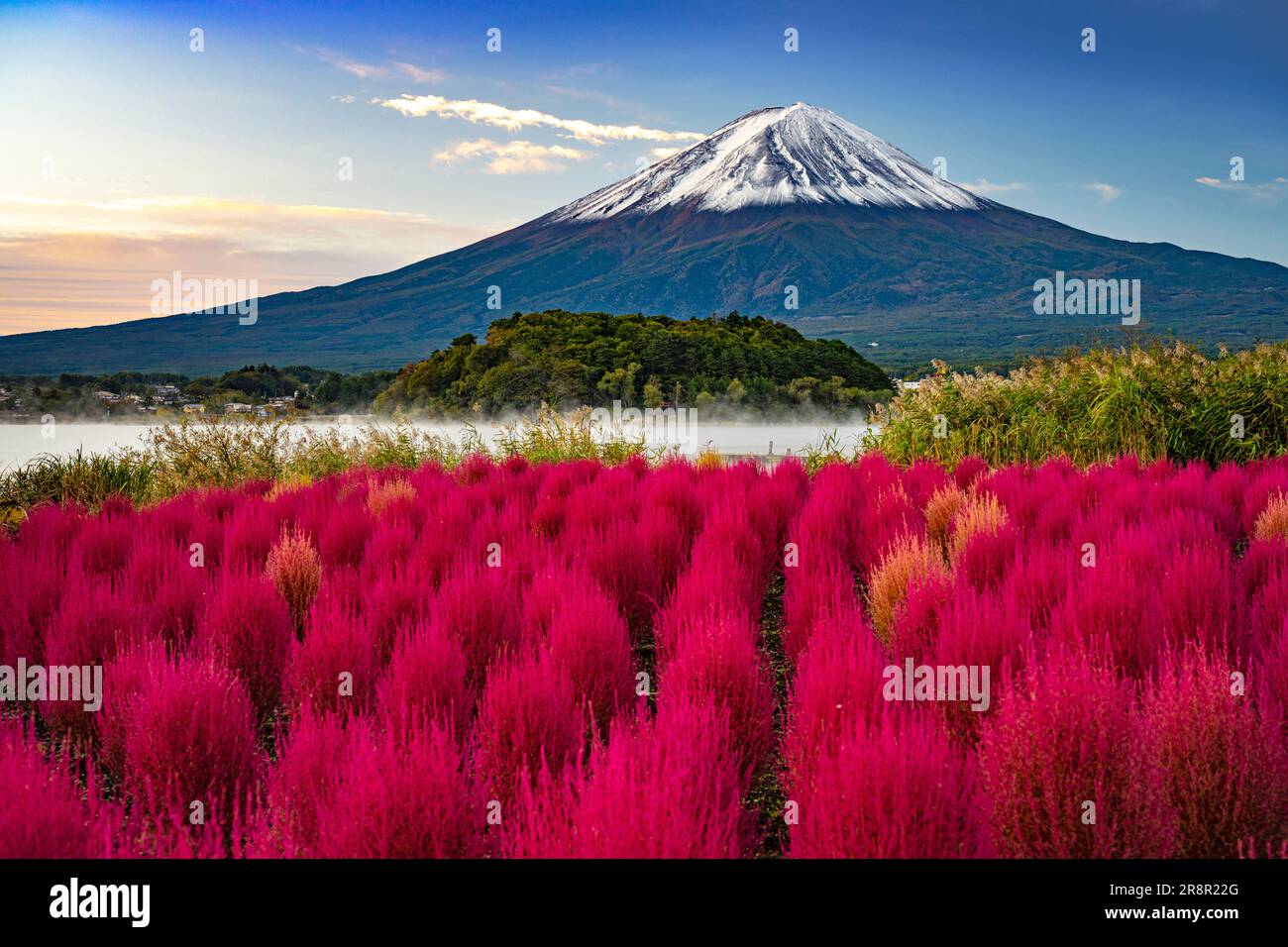 Kochia and Mt Stock Photo - Alamy