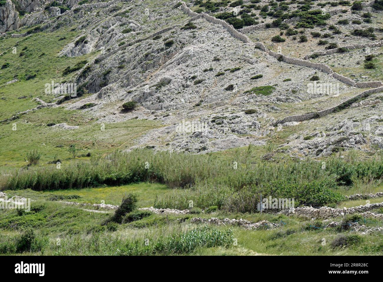 barren rocky landscape on pag island in croatia Stock Photo - Alamy