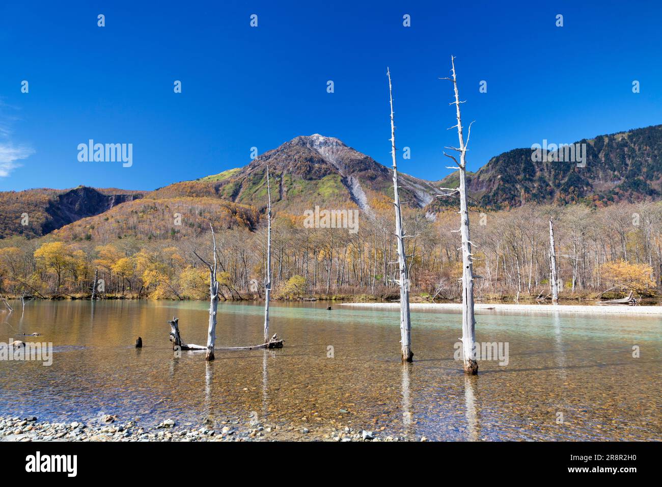 Yake hi-res stock photography and images - Alamy