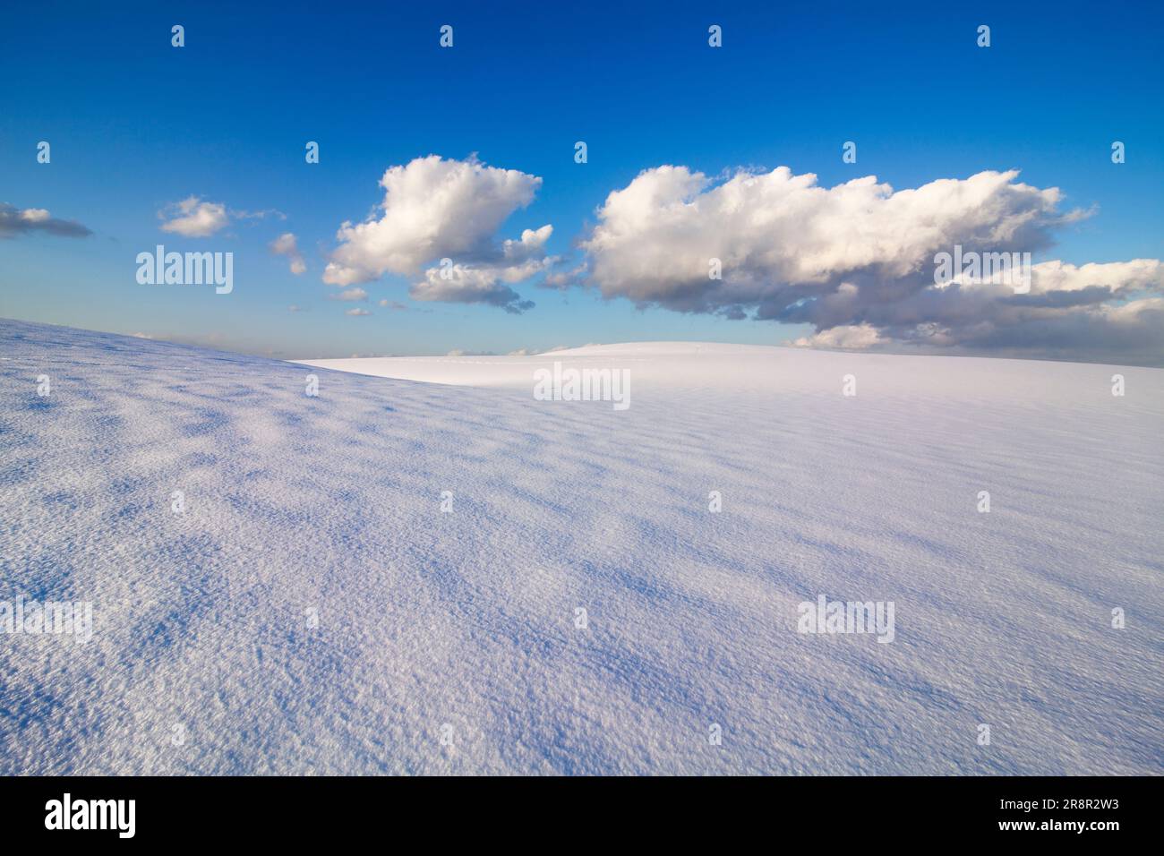 Tottori sand dunes under snow Stock Photo - Alamy