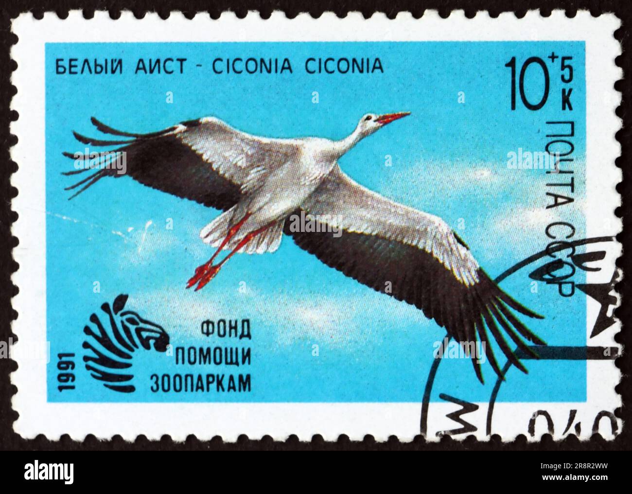 RUSSIA - CIRCA 1991: a stamp printed in Russia shows white stork ...