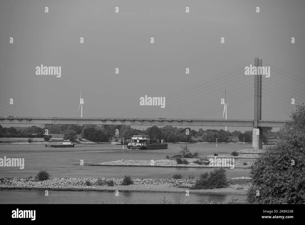 River rees Black and White Stock Photos & Images - Alamy