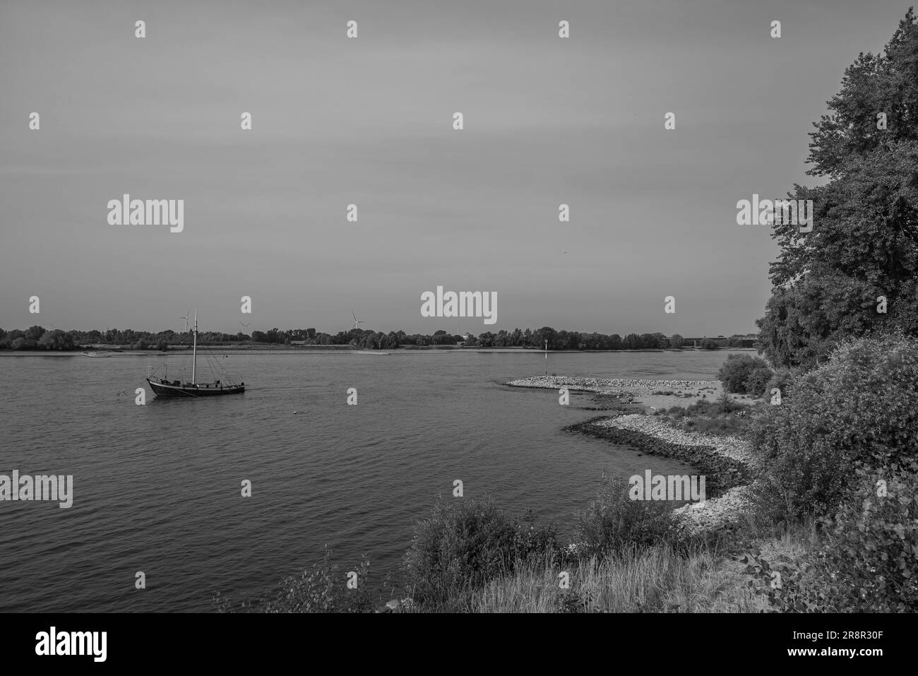 River rees Black and White Stock Photos & Images - Alamy