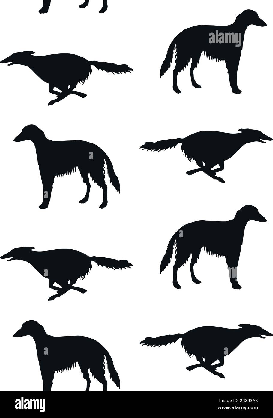 Vector seamless pattern of hand drawn Russian borzoi dog silhouette ...