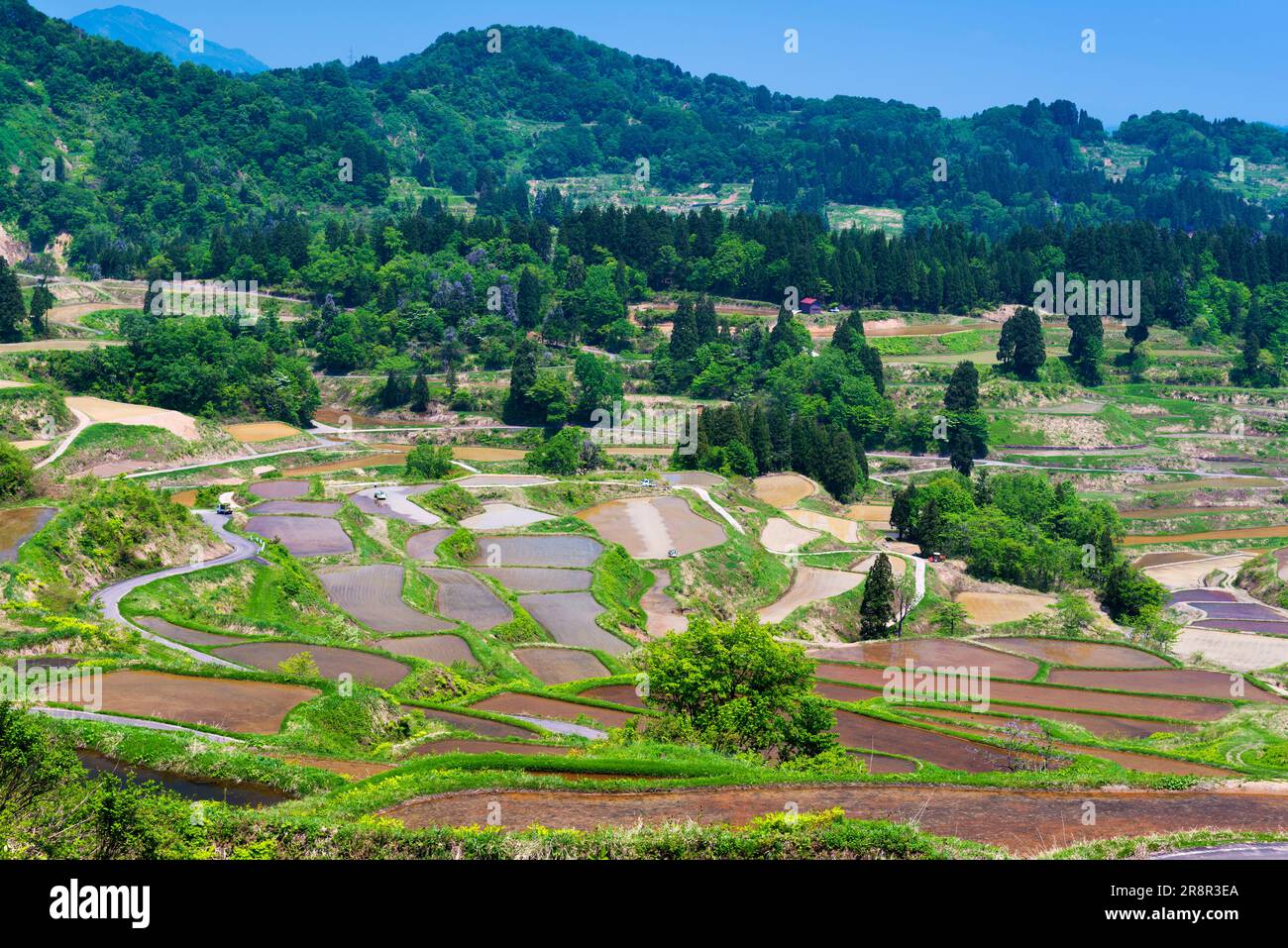 Rice terraces of Hoshitoge Stock Photo - Alamy