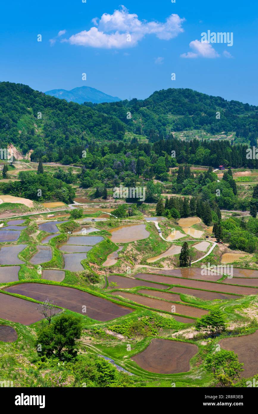 Rice terraces of Hoshitoge Stock Photo - Alamy