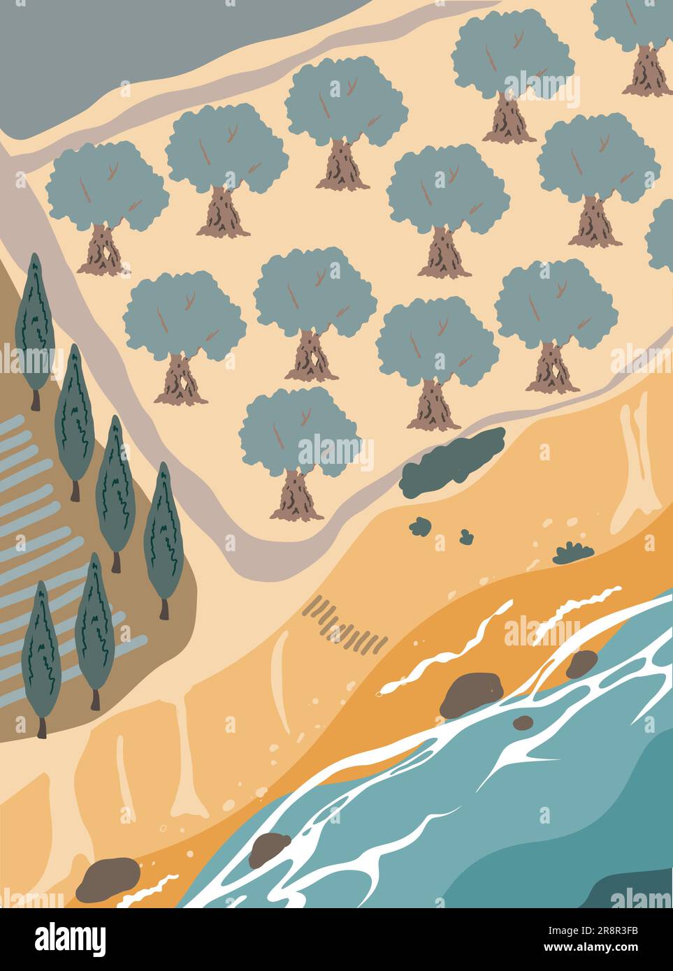 Olive trees plantation above the sea. Italian or Greek rural landscape ...