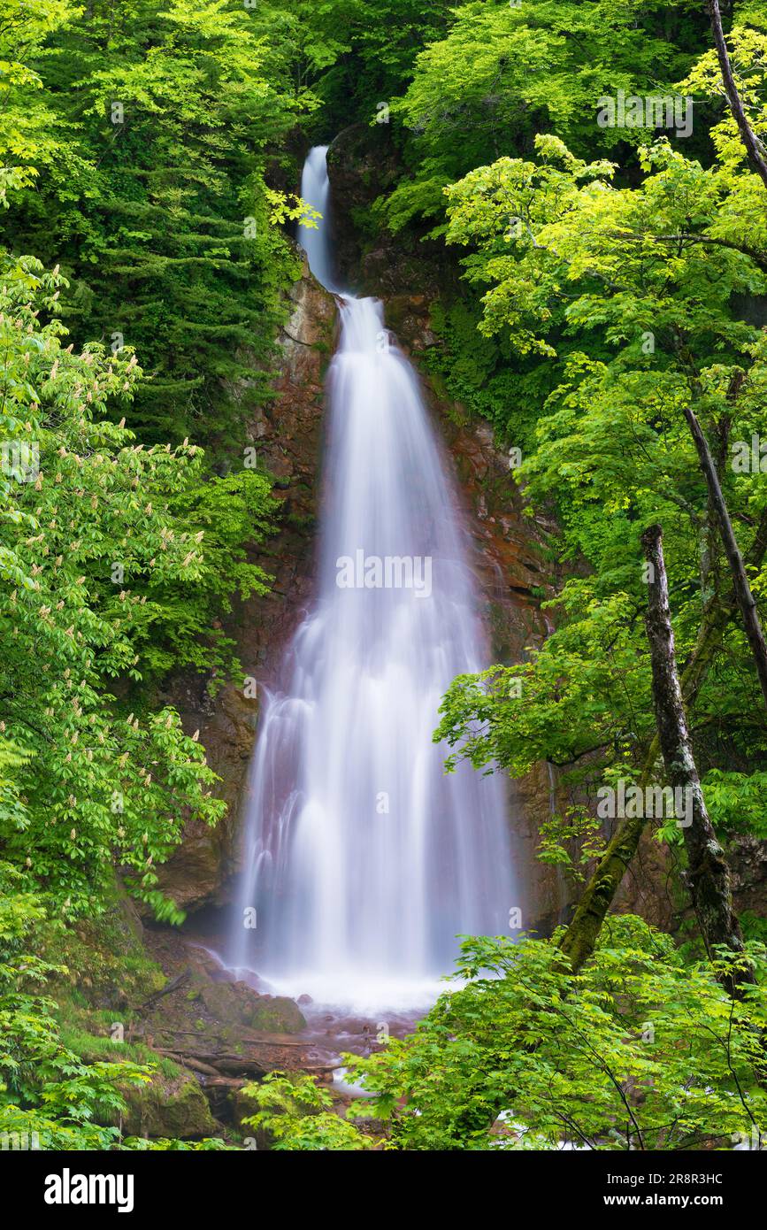 Nanadaru falls hi-res stock photography and images - Alamy