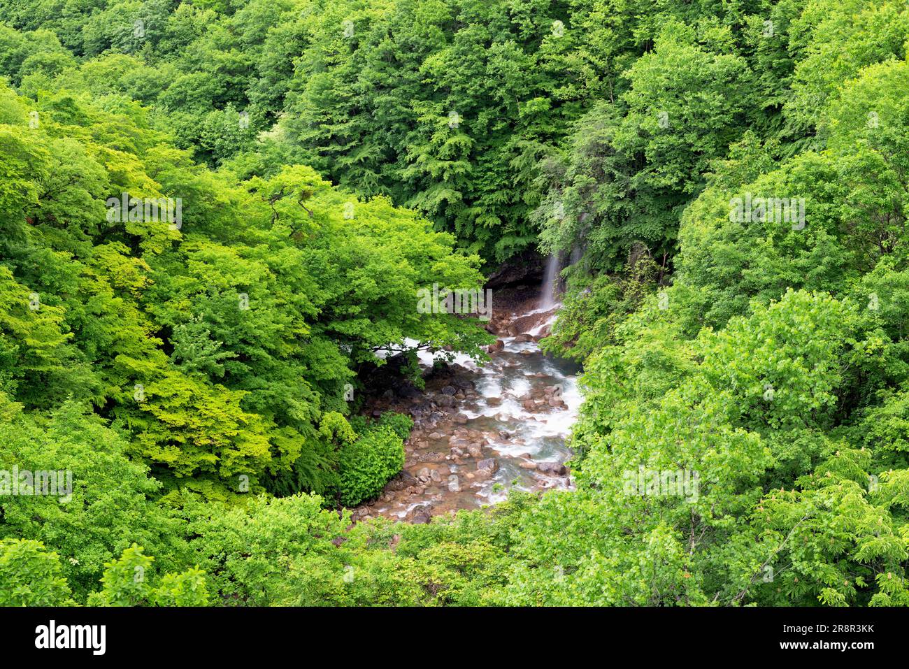 Matsukawa hi-res stock photography and images - Alamy