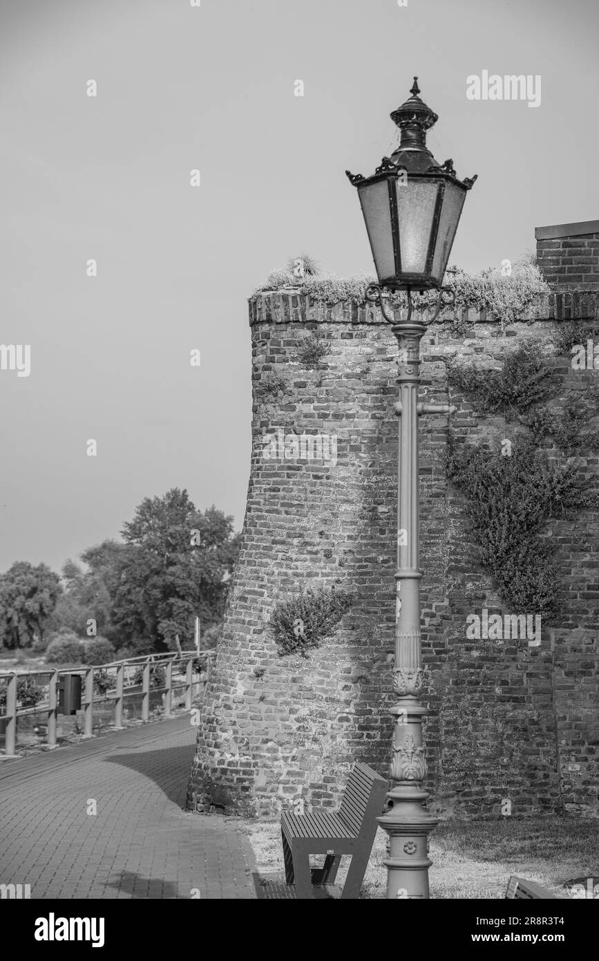 River rees Black and White Stock Photos & Images - Alamy