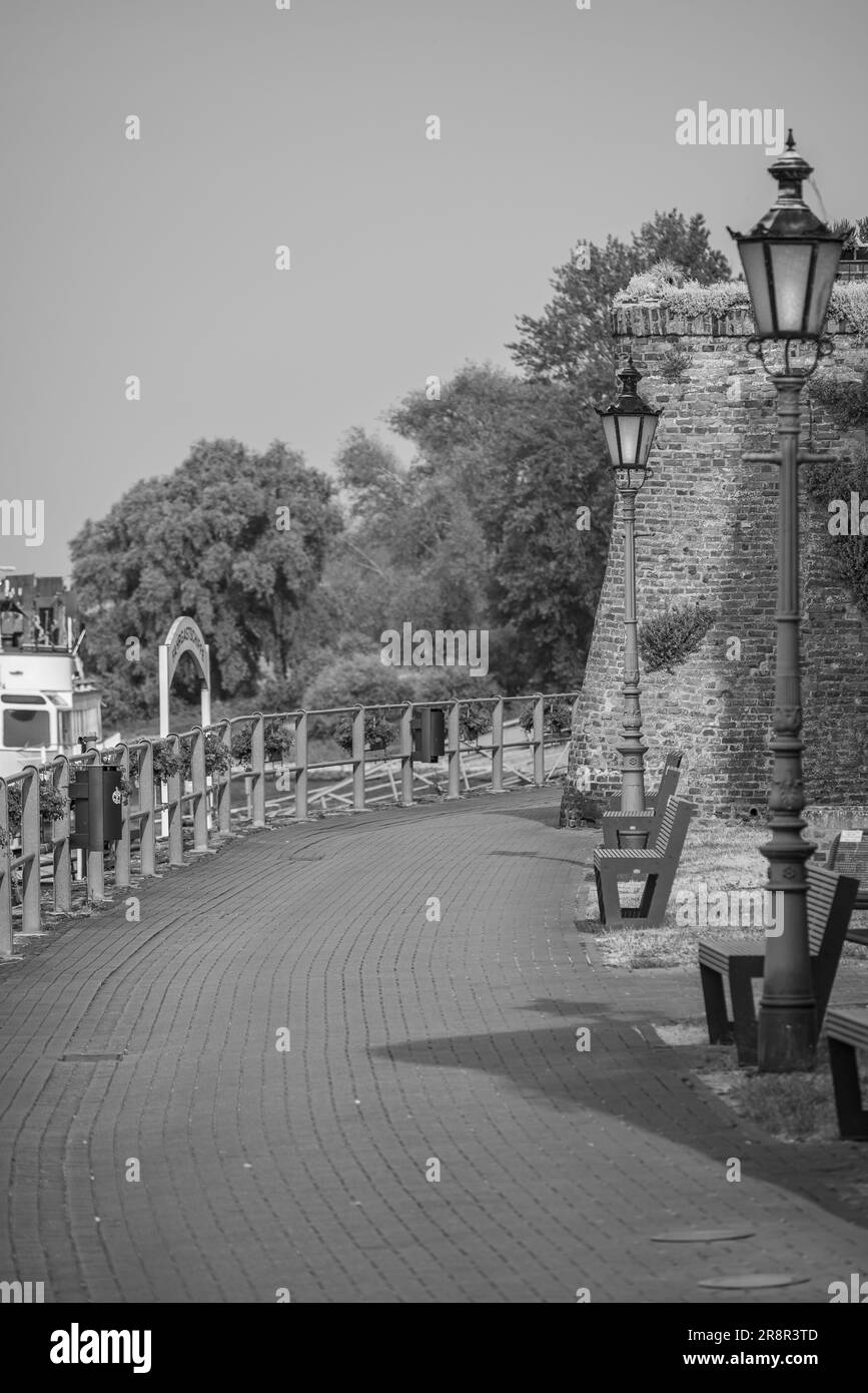 River rees Black and White Stock Photos & Images - Alamy