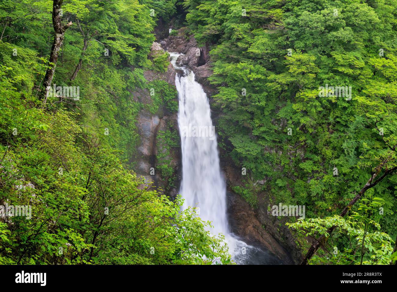 Akiu miyagi hi-res stock photography and images - Alamy