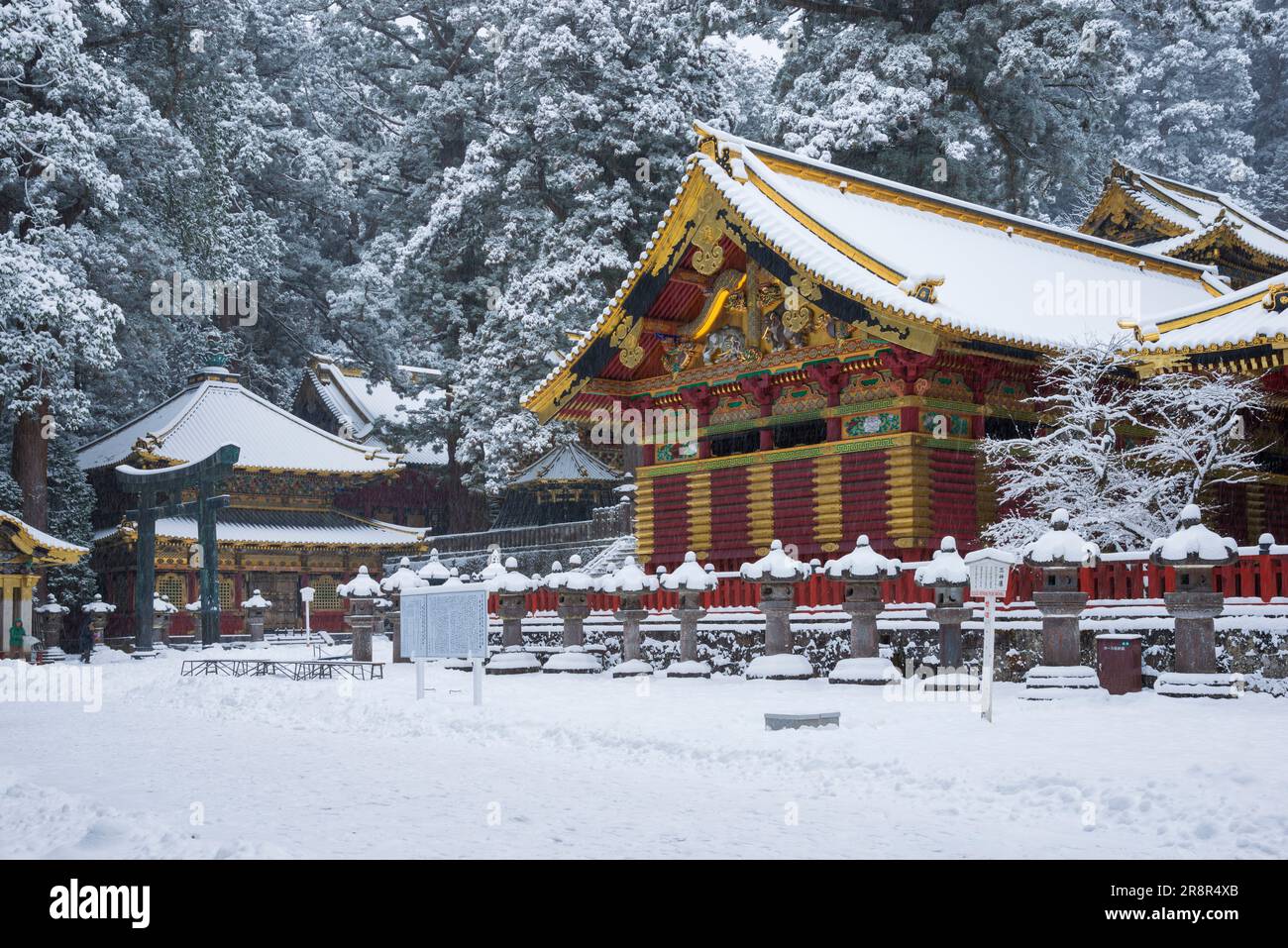 Nikko Toshogu Shrine, Wanzo and Kamishinko Stock Photo - Alamy