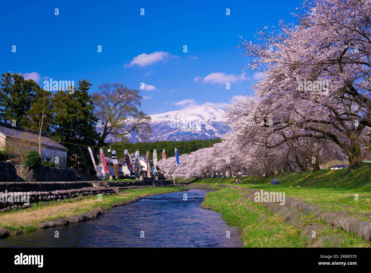 Zhongshan tsutsumi hi-res stock photography and images - Alamy