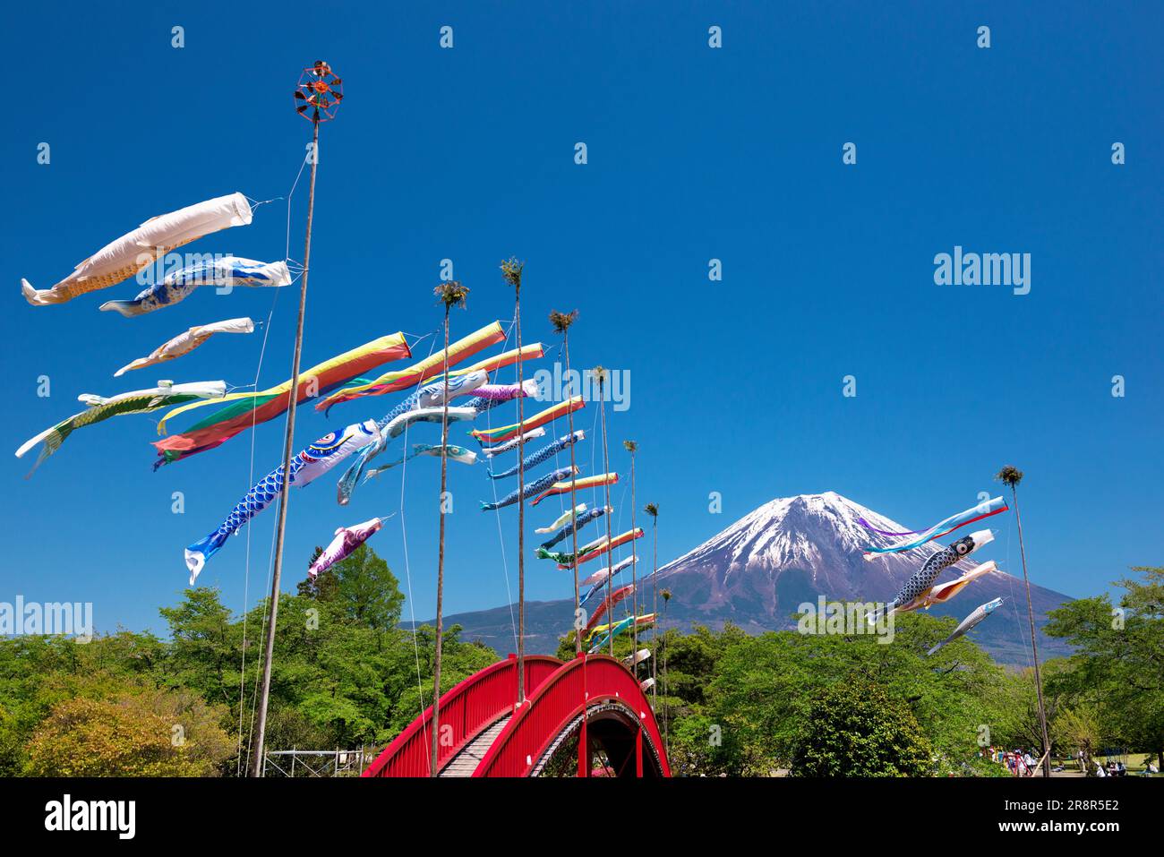 Carp banner hi-res stock photography and images - Alamy