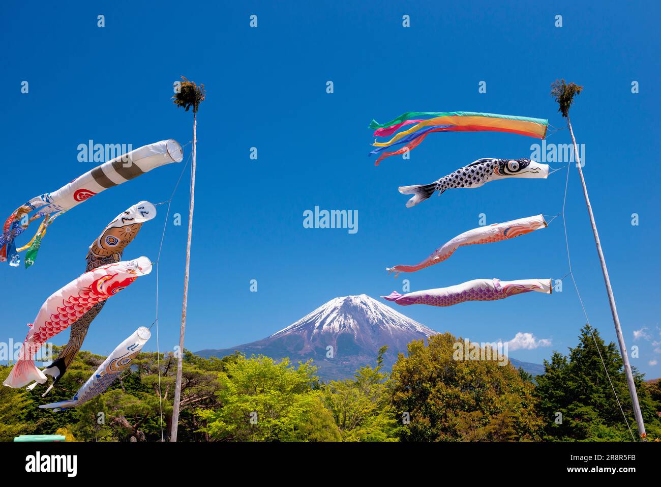 Carp banner hi-res stock photography and images - Alamy