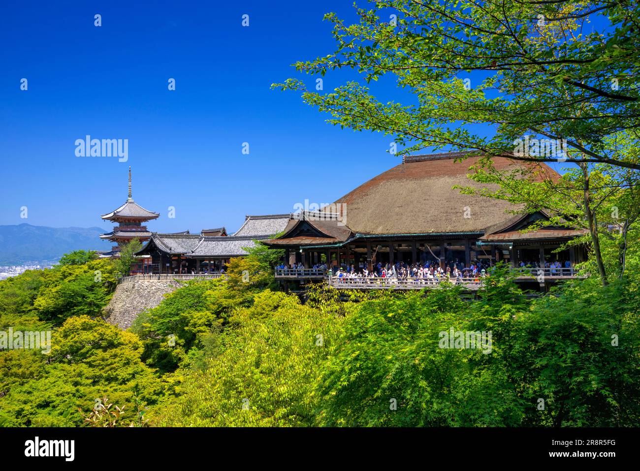 Wooden stage and three story pagoda of Kiyomizudera temple covered with ...