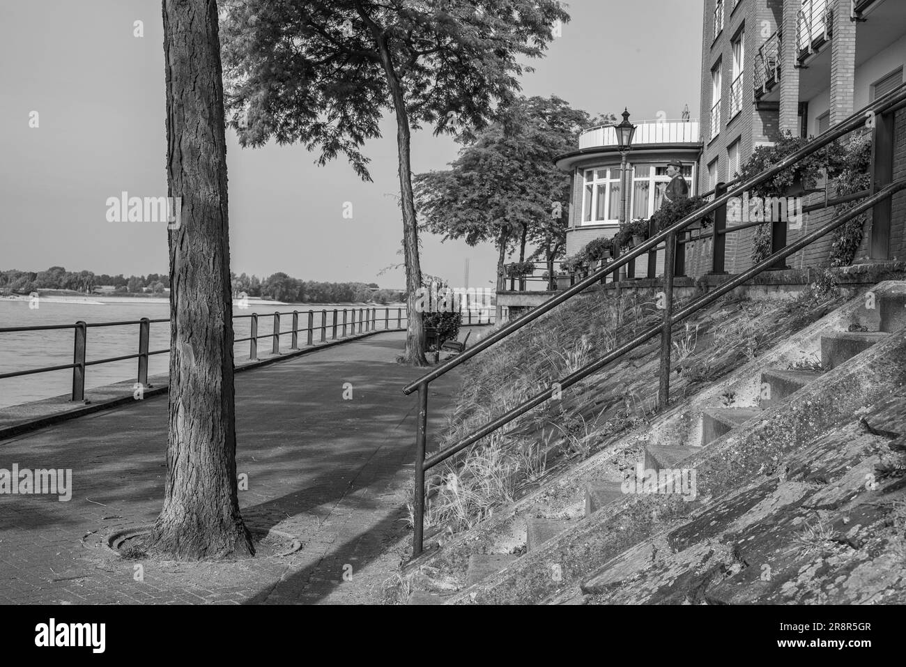 River rees Black and White Stock Photos & Images - Alamy