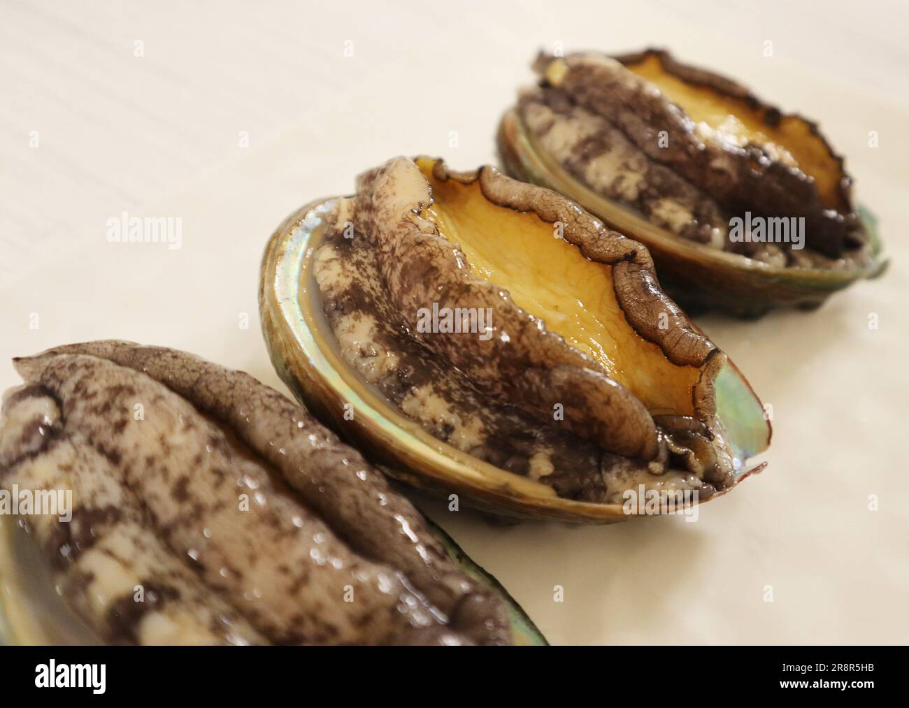 Fresh abalone on plate hi-res stock photography and images - Alamy