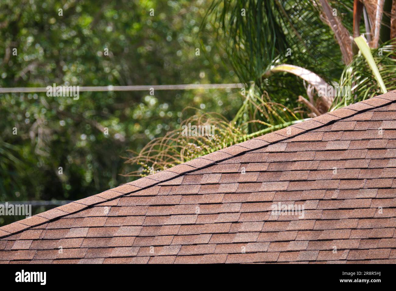 Closeup of house roof top covered with asphalt or bitumen shingles ...