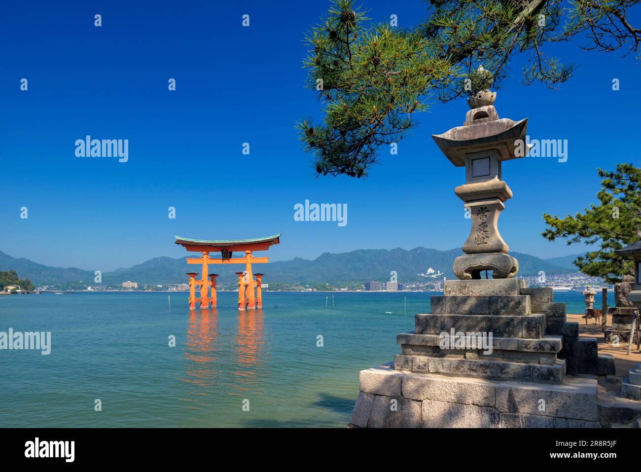 Itsukushima shrine and the Big Torii gate Stock Photo - Alamy