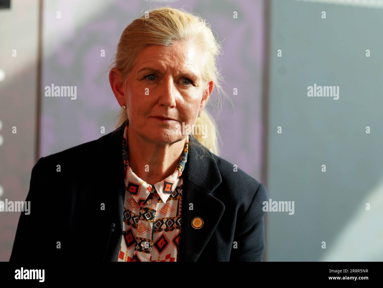 FIFA Vice-President Debbie Hewitt MBE speaks during the European ...