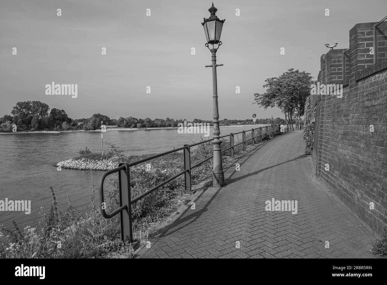 River rees Black and White Stock Photos & Images - Alamy