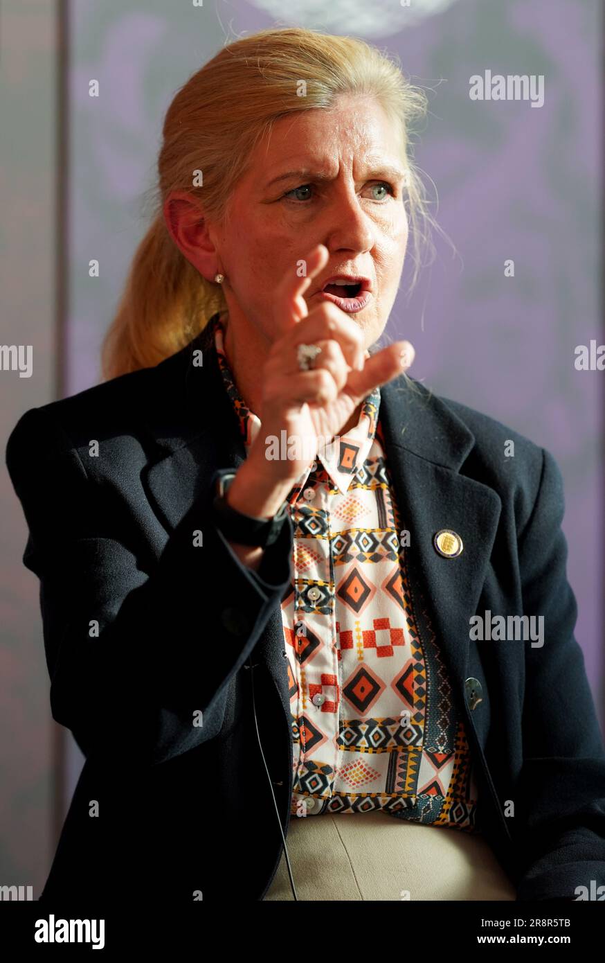 FIFA Vice-President Debbie Hewitt MBE speaks during the European ...