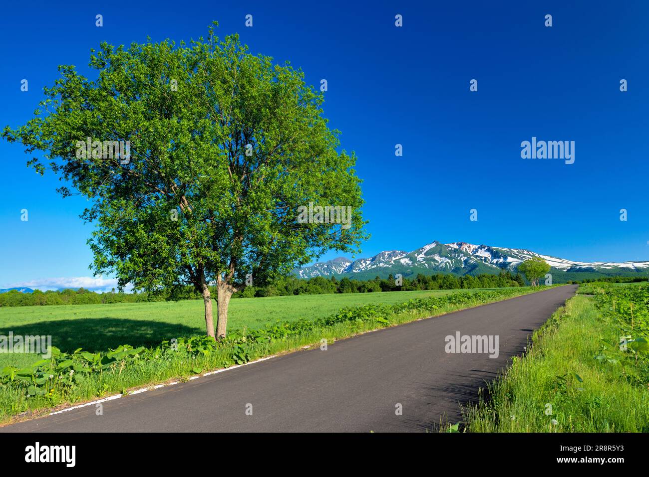 Angus ranch hi-res stock photography and images - Alamy