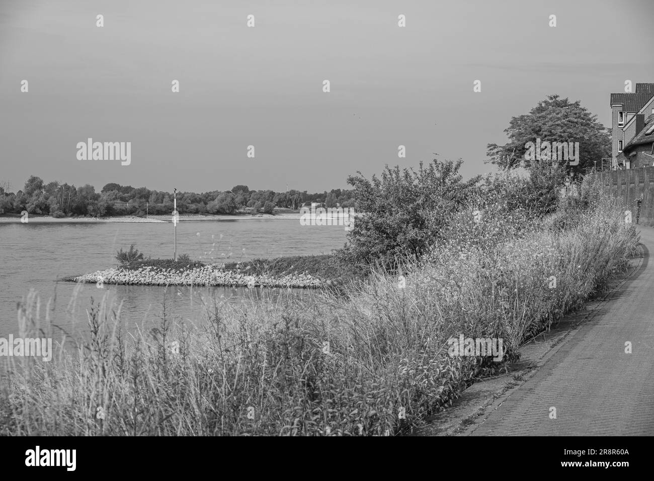 River rees Black and White Stock Photos & Images - Alamy